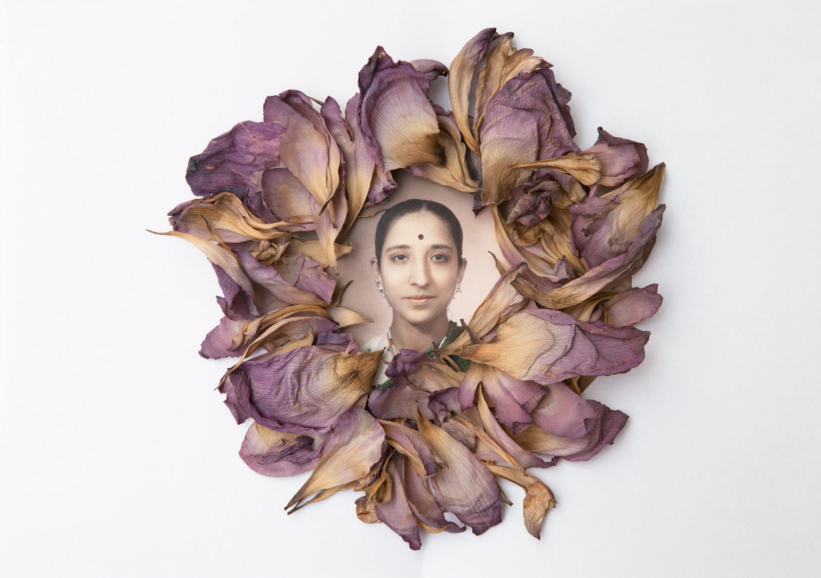 Arpita Shah: Nalini - Impressions