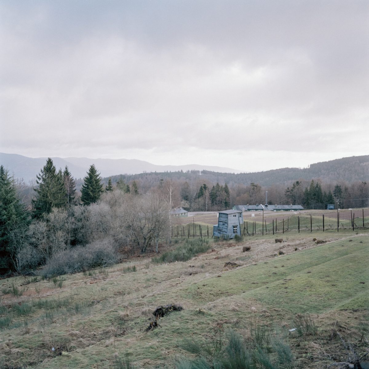 Marc Wilson: A Wounded Landscape - Impressions