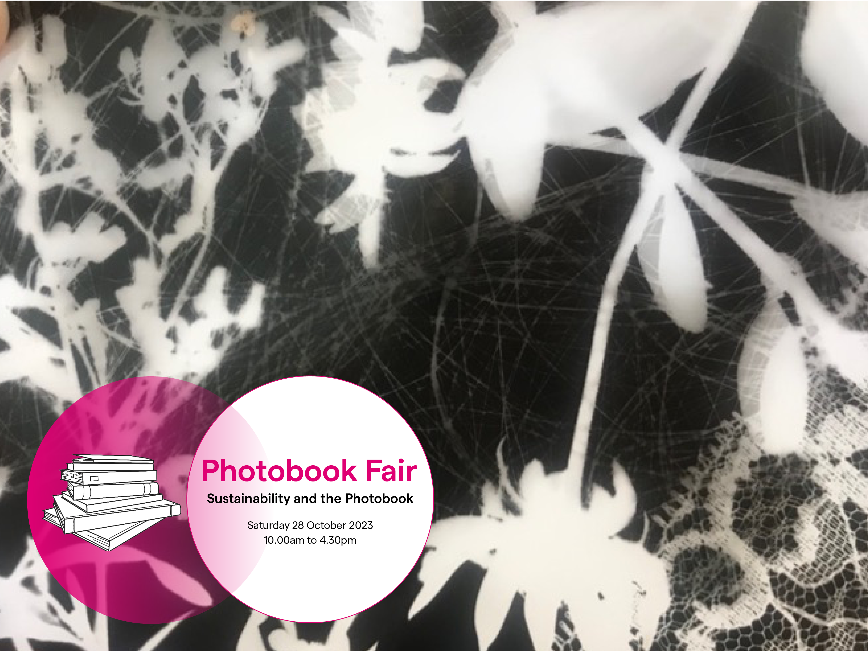 Eco-friendly photogram workshop (session 1) - Impressions