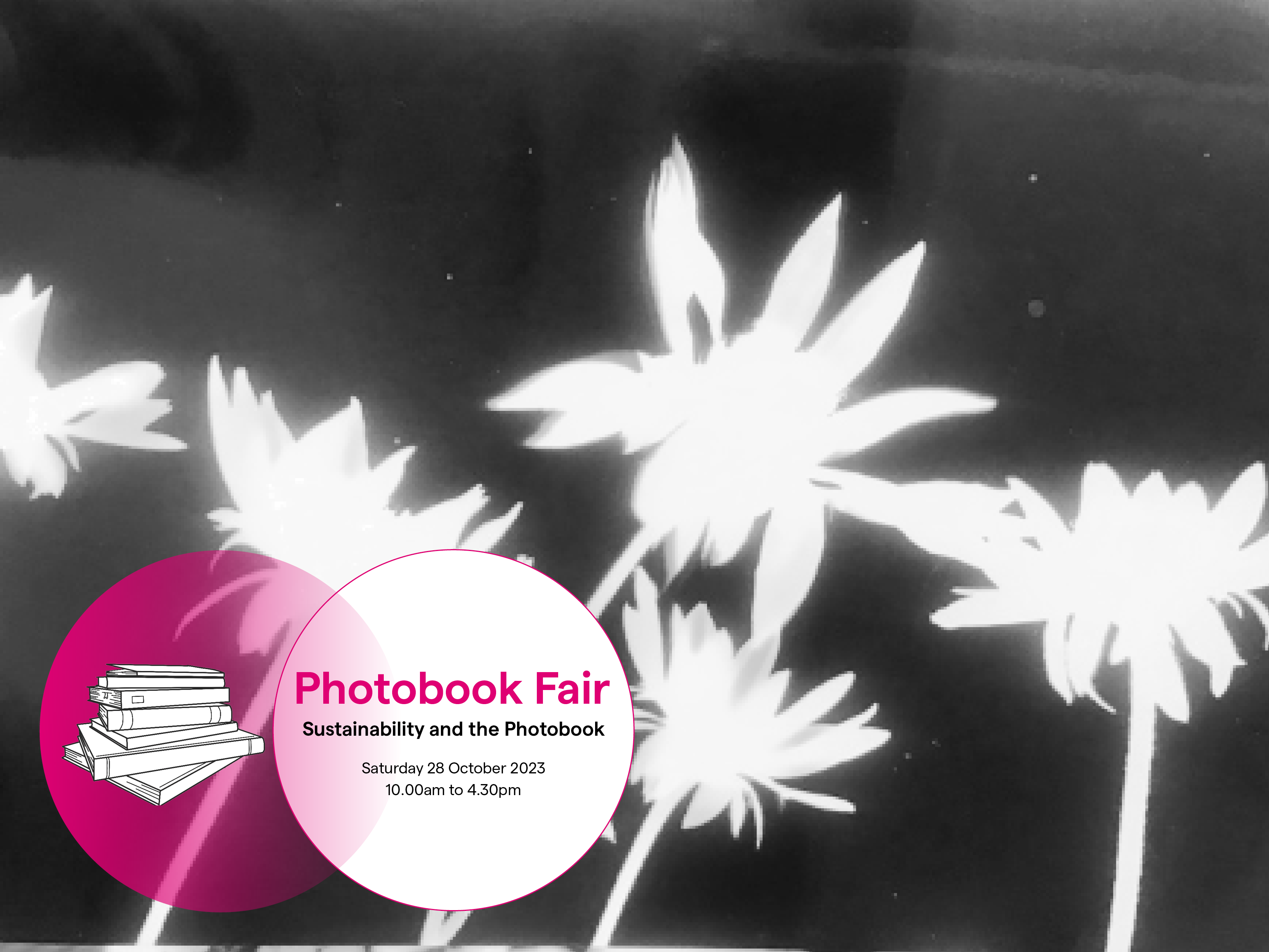 Eco-friendly photogram workshop (session 2) - Impressions